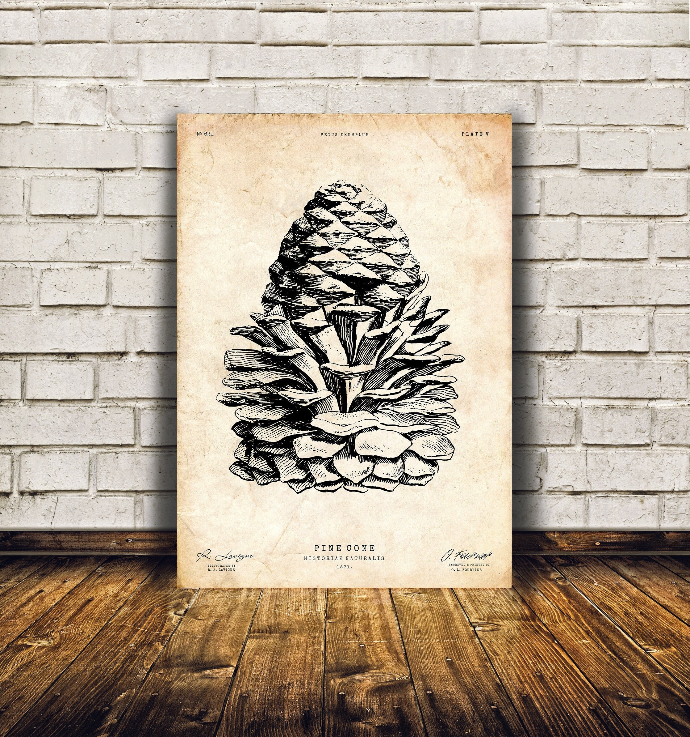 Pine Cone Art Print, Lake House Decor, Pinecone Print, Lodge Wall Art ...