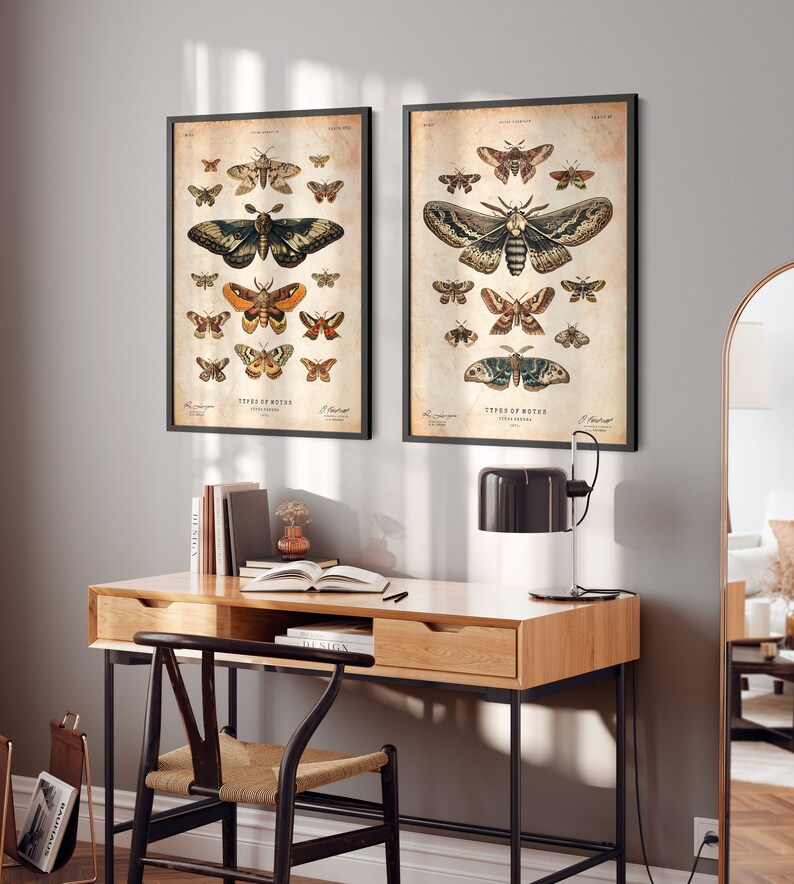 Dark Academia Decor Moths Chart Insects Art Print Cabin - Etsy