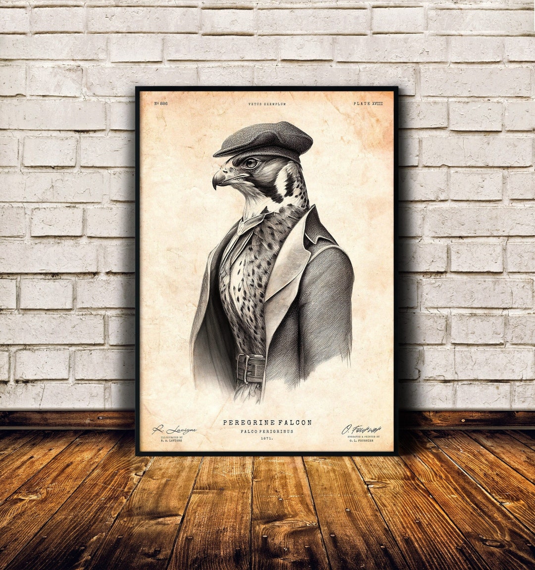 Peregrine Falcon Print, Victorian Bird Print, Cottagecore Decor ...