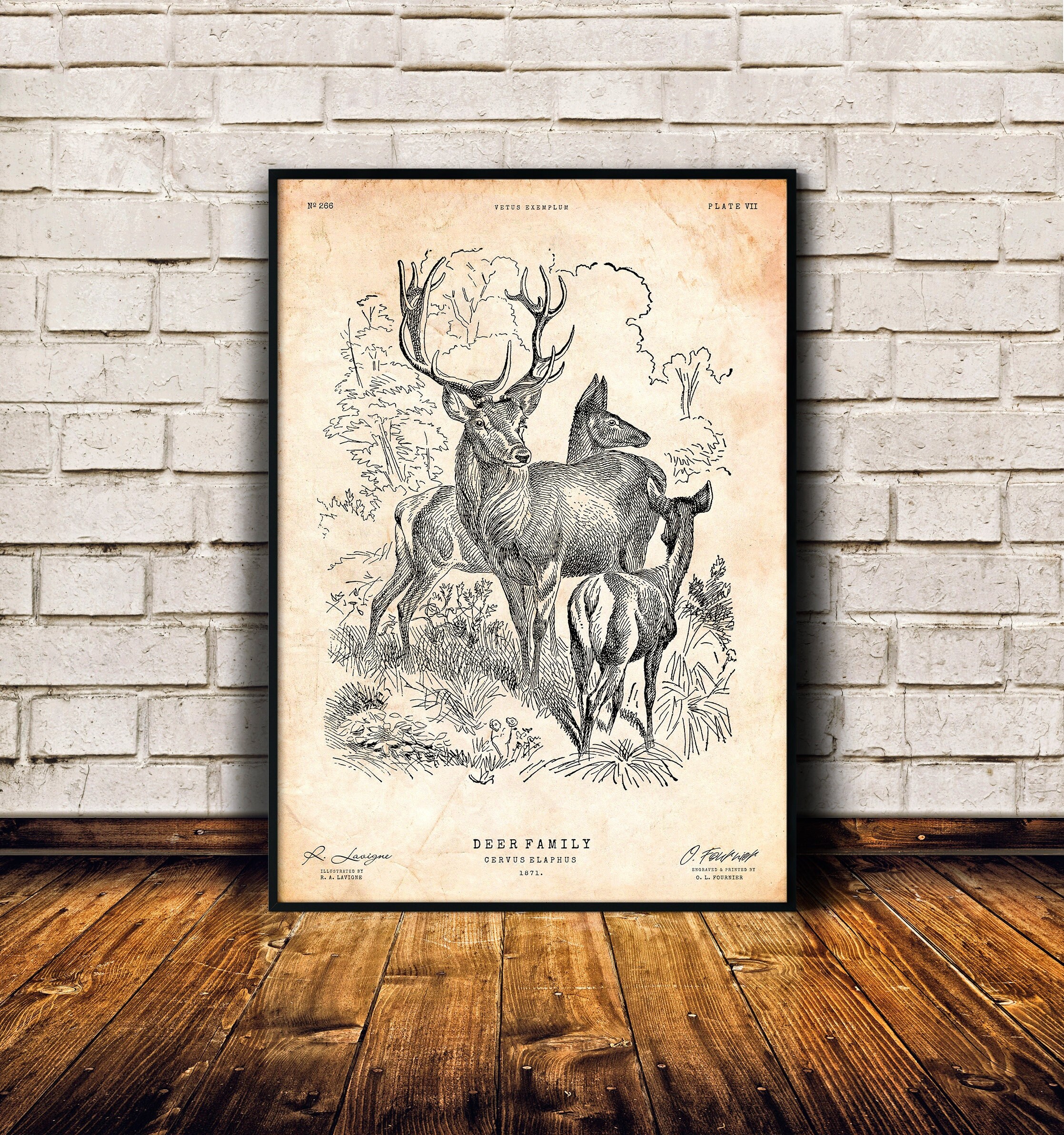 Deer Art Print Stag Poster Animal Lover Gift Vintage - Etsy