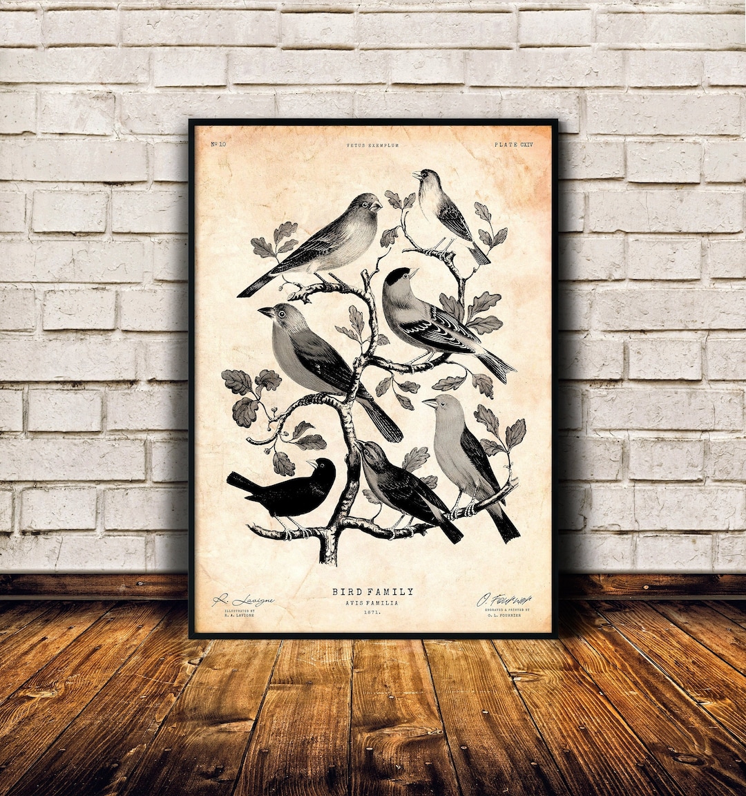 Birds Print, Bird Lover Gift, Vintage Bird Poster, Lodge Decor, Antique ...