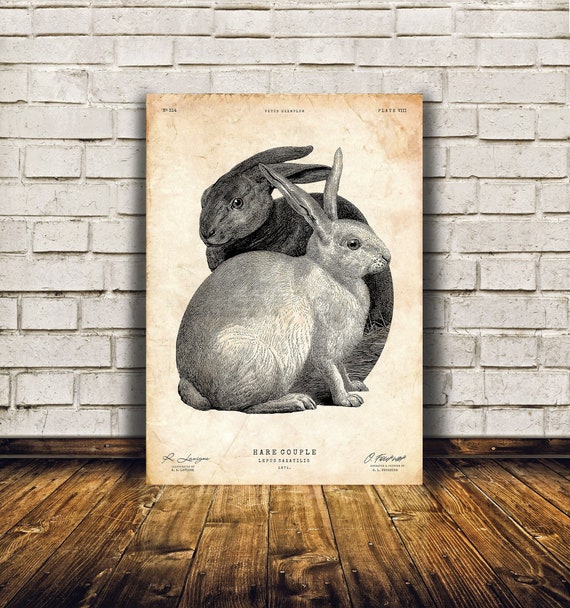 Hare Print Rabbit Artwork Bunny Poster Cabin Decor Lodge - Etsy
