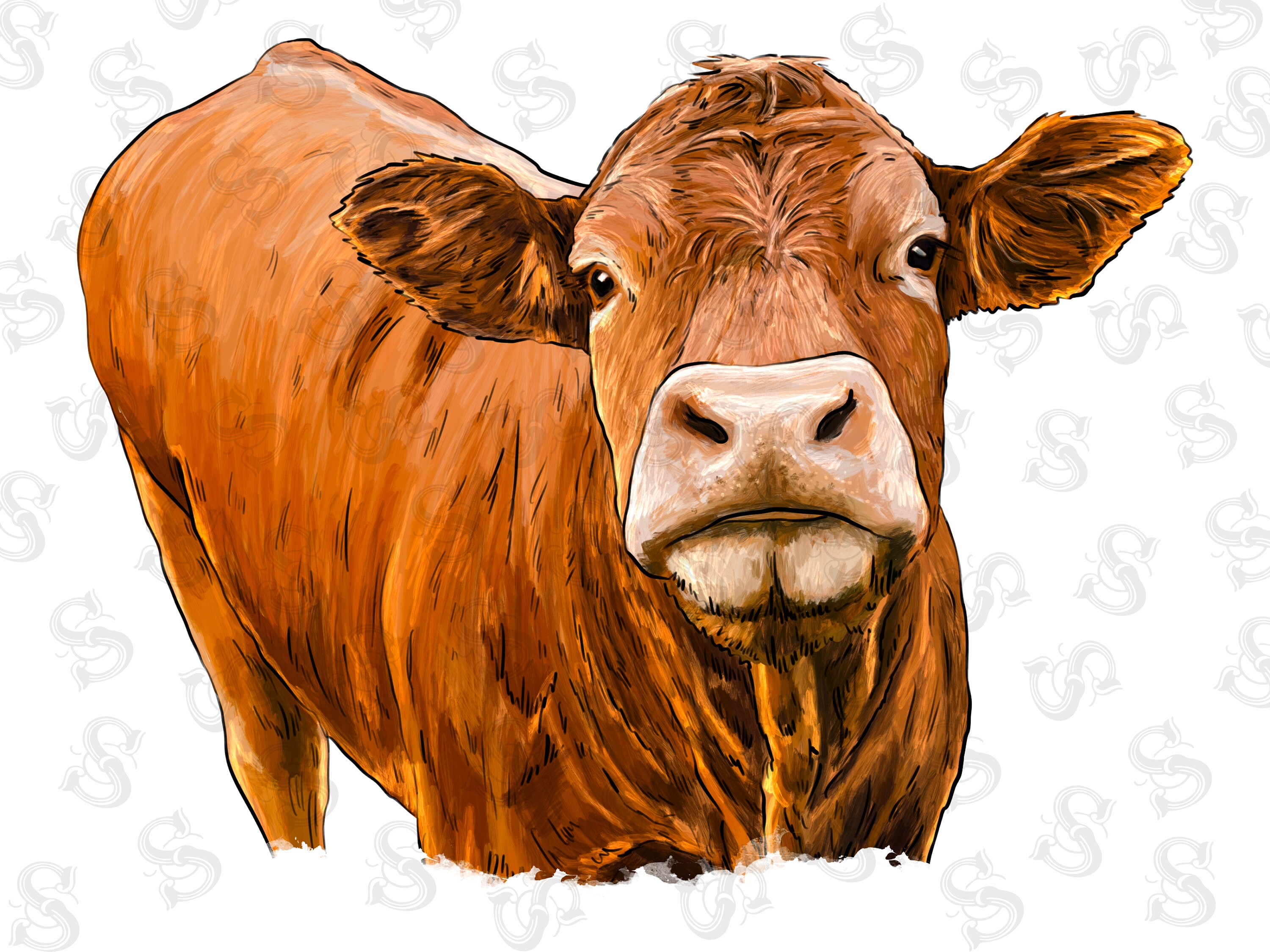 Red Angus Clipart