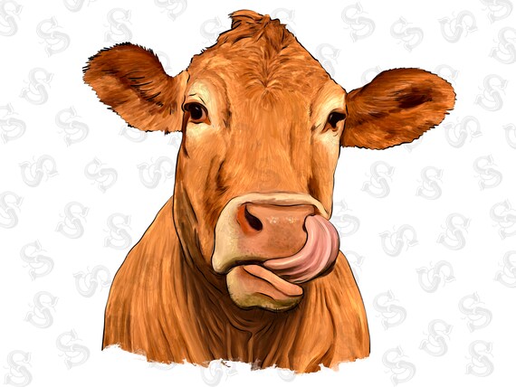 Red Angus Clipart