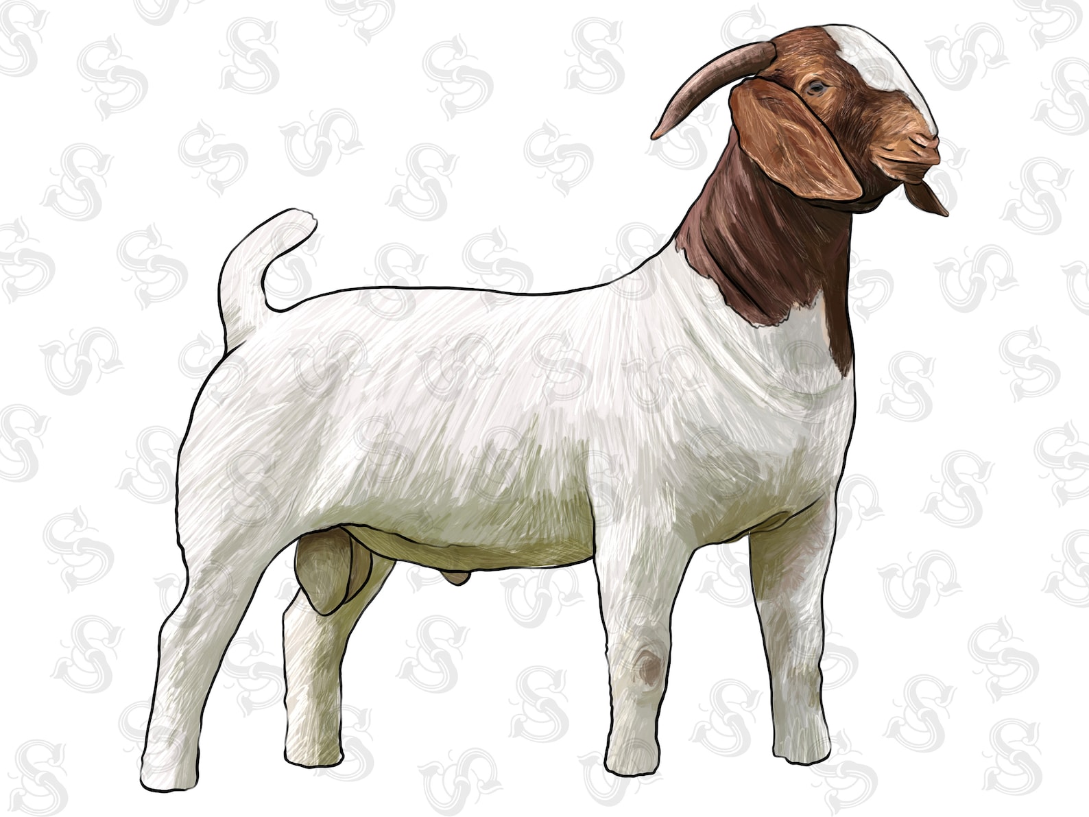 Boer Goat Png Goat Png Sublimation Design Goat Png Hand - Etsy