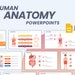 Anatomy Powerpoint Template | Fully Editable Medical Presentation - Etsy