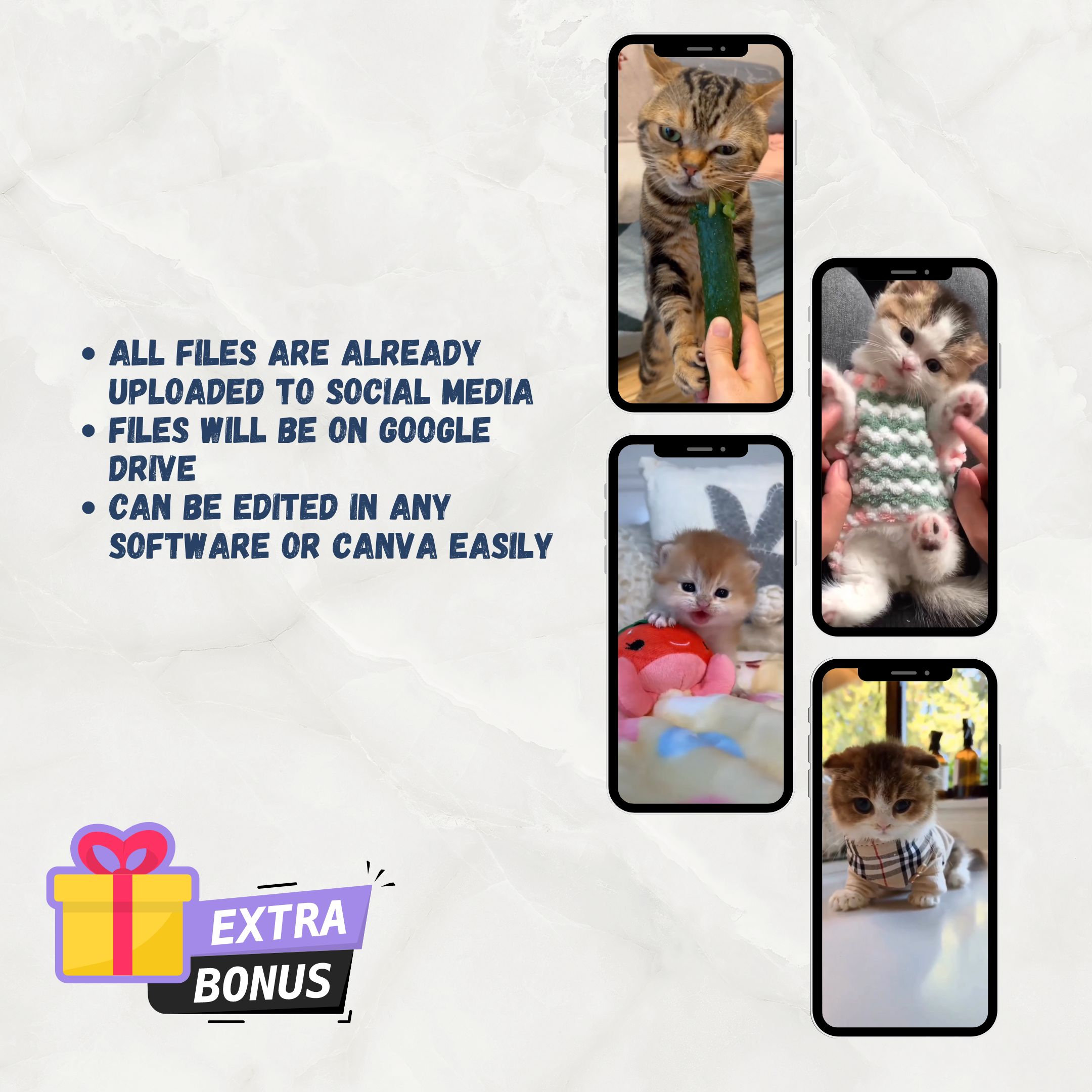 1300 Cat Videos Cat Reel Templates Cute Cat Reels Instagram Templates ...