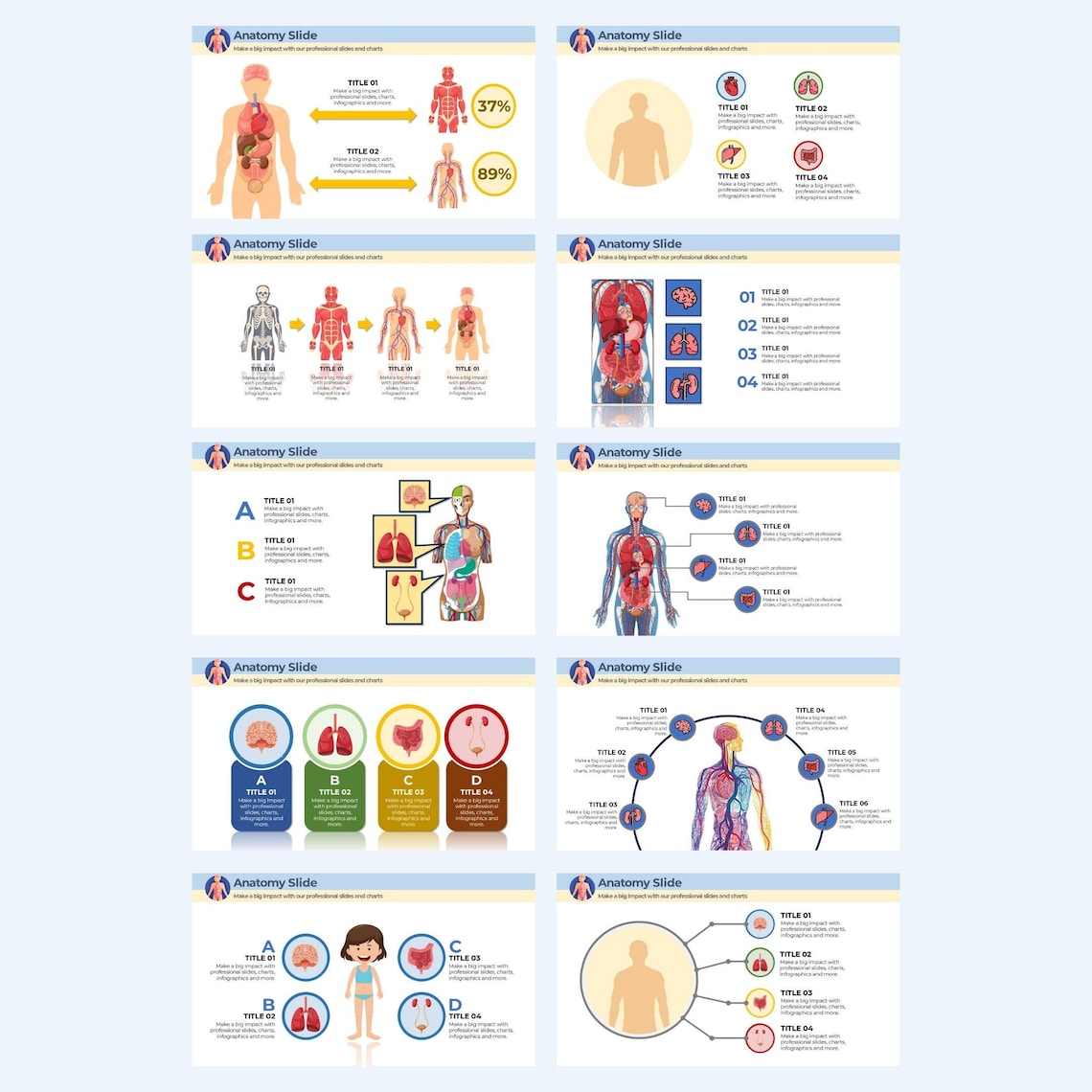 Editable Anatomy Chart Powerpoint Templates | Biology Presentation ...