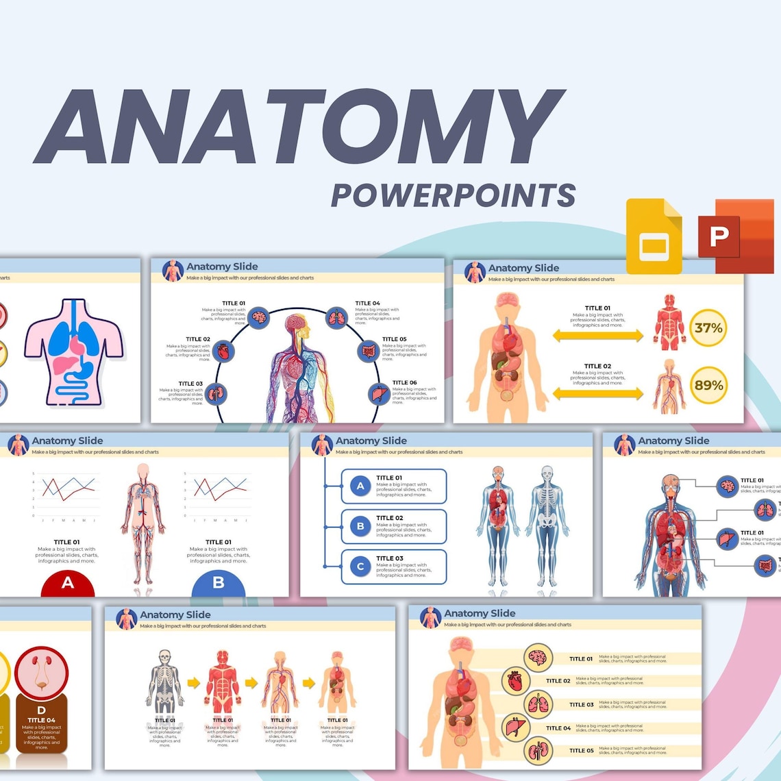 Editable Anatomy Chart Powerpoint Templates | Biology Presentation ...