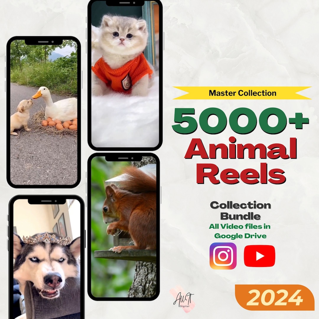 5000+ Animal Videos | Cute Animal Templates | Dog Reels | Cat Reels ...