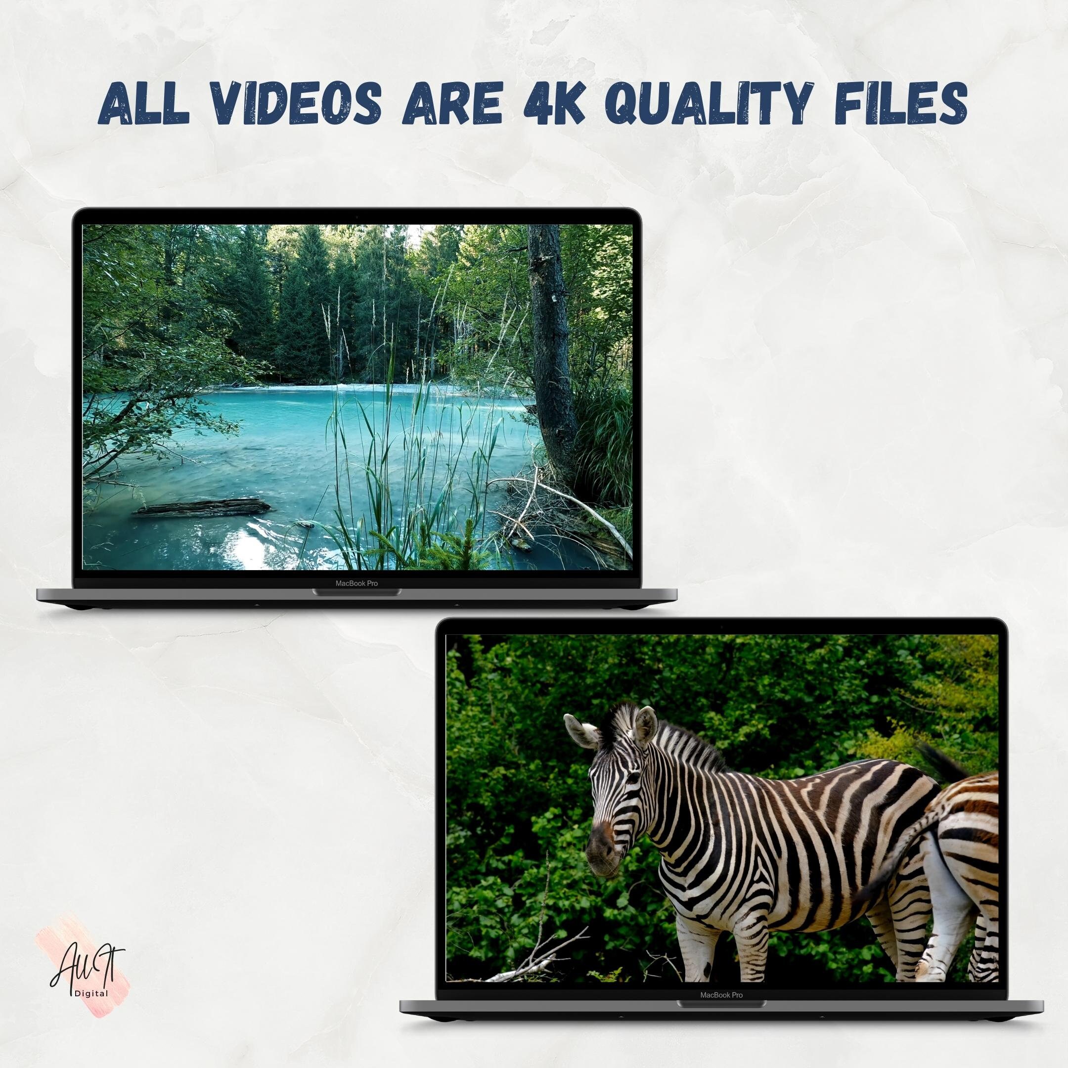 Nature Videos | 200 4K Nature Footage | Ultra HD Youtube Video ...