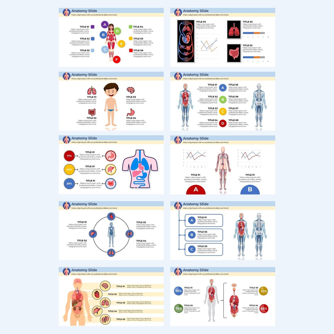 Editable Anatomy Chart Powerpoint Templates | Biology Presentation ...