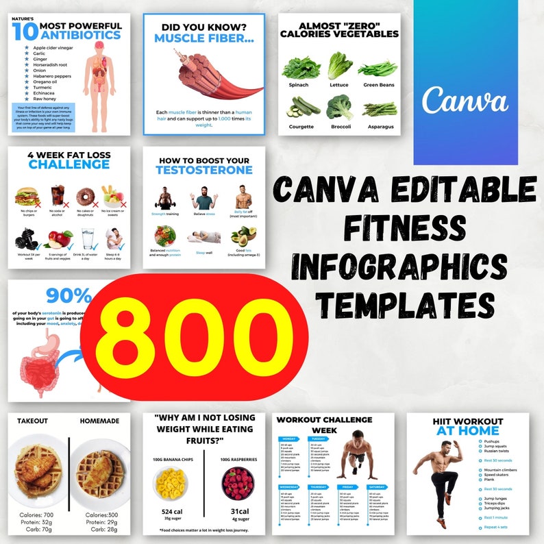 Canva Templates Bundle Instagram Editable Infographics - Etsy