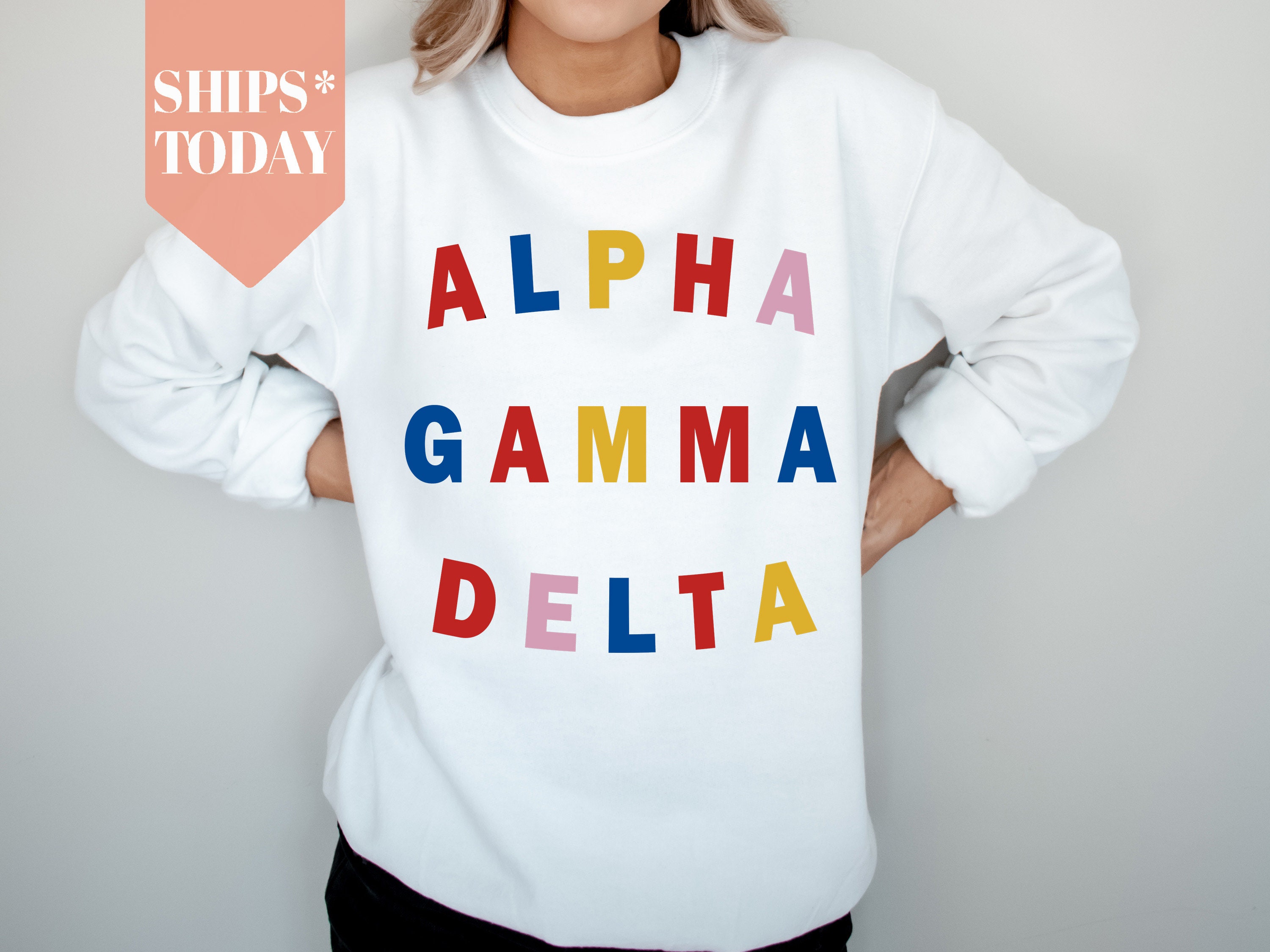 Alpha Gamma Delta Color Wheel Sorority Sweatshirt Alpha Gam - Etsy