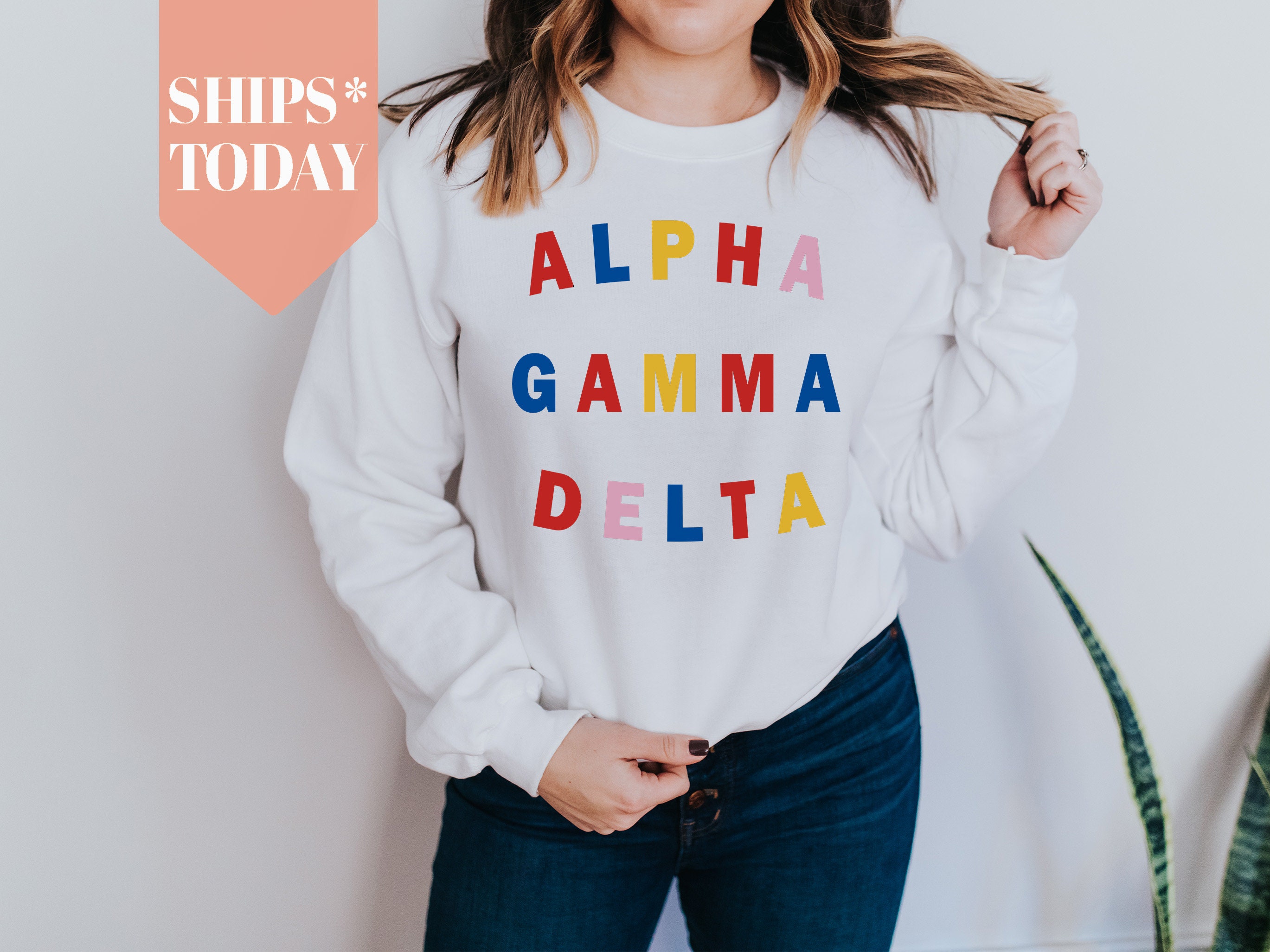 Alpha Gamma Delta Color Wheel Sorority Sweatshirt Alpha Gam - Etsy