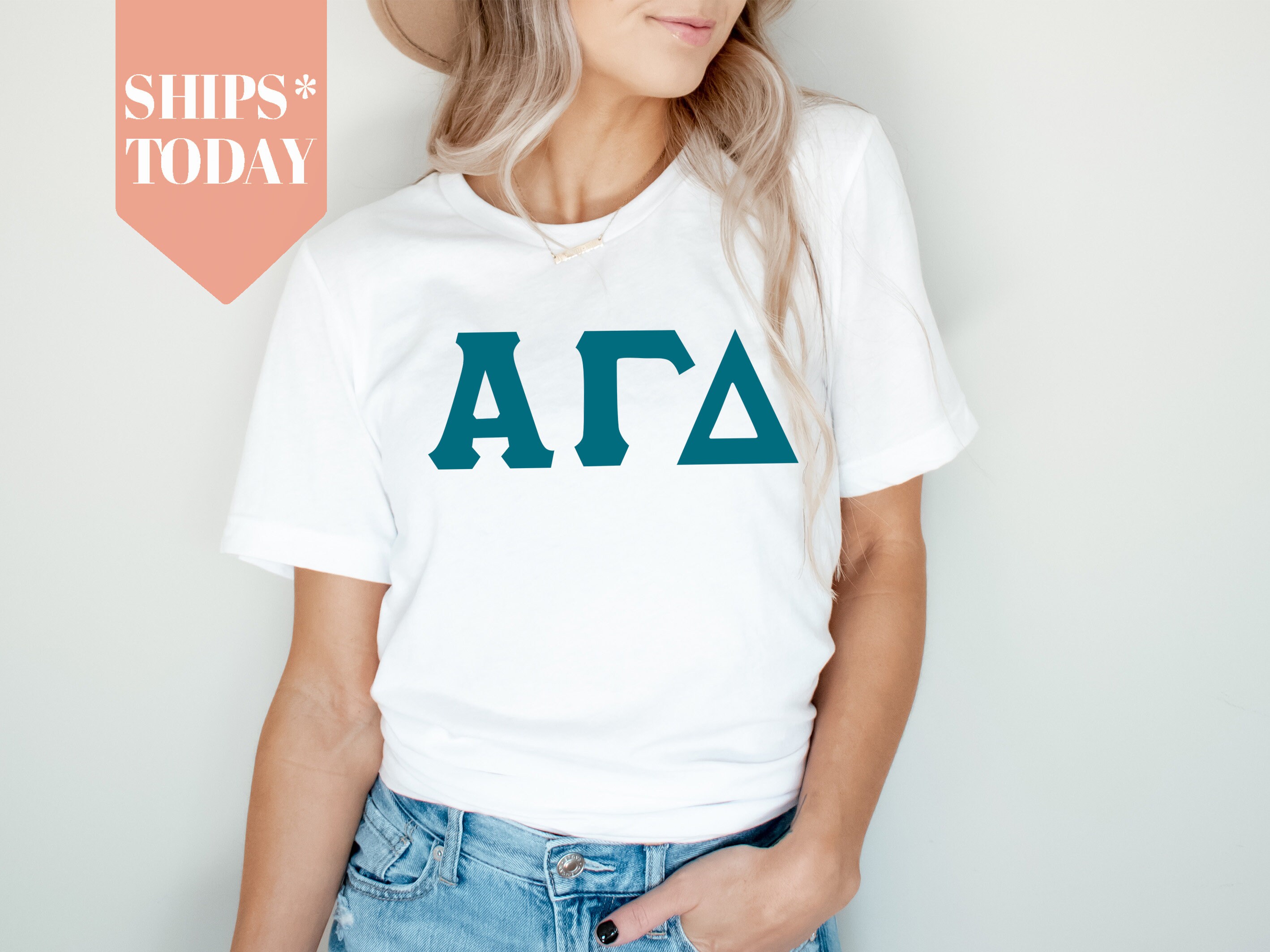Alpha Gamma Delta Back to the Basics Sorority T-shirt Alpha - Etsy