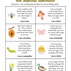 Spring Bingo Game – Speech Therapy, Preschool Activities (printable PDF ...