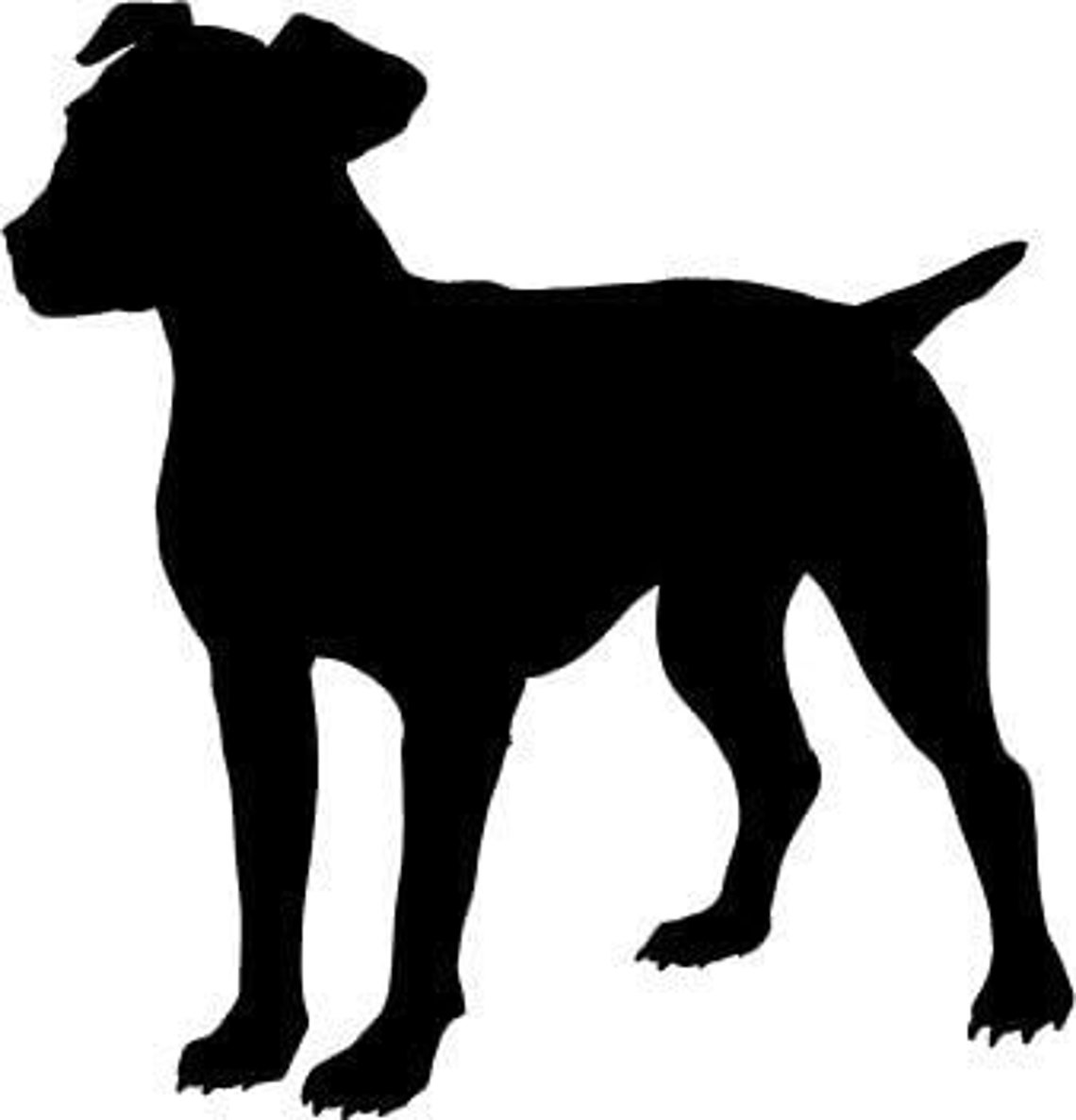 Jack Russell Dog Car,camper Van Window Sticker Decals - Etsy