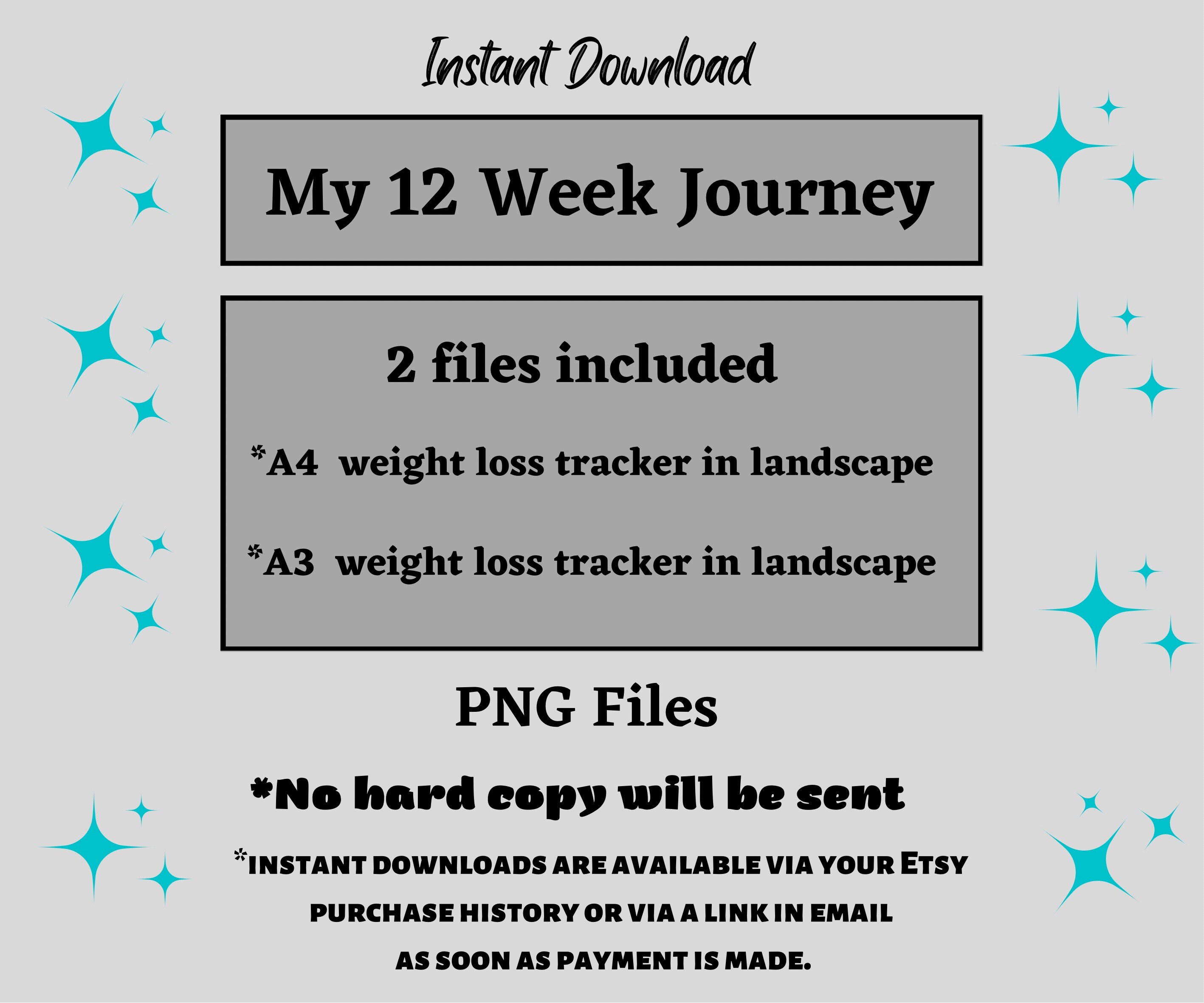 My 12 Week Journey, Record Sheet, Weight Tracker. Progress Chart ...