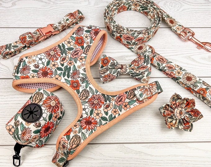 Boho Rainbow Dog Harness Cute Dog Harness & Leash Set Cute Dog Collar Boho Dog Collar XXS to ...