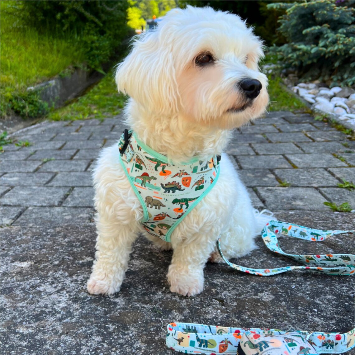 Dog Harness Dinosaur Set, Personalized Dog Bow Tie Collar and Leash ...
