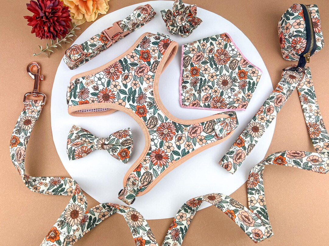 Dog Boho Harness Set, Fall Dog Flower Harness, Autumn Dog Collar and Leash, Cute Puppy Harness ...
