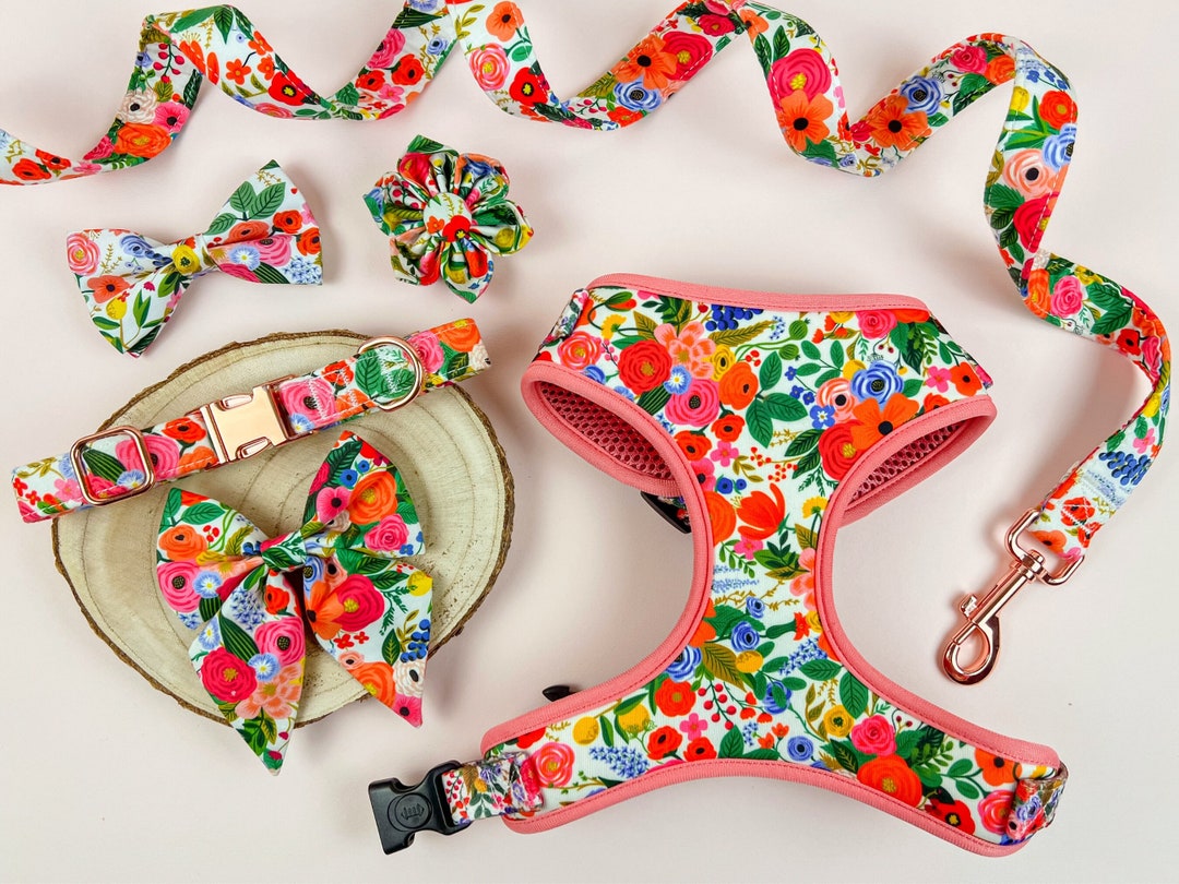 Dog Harness Set, Puppy Harness, Dog Collar and Leash, Cute Puppy ...