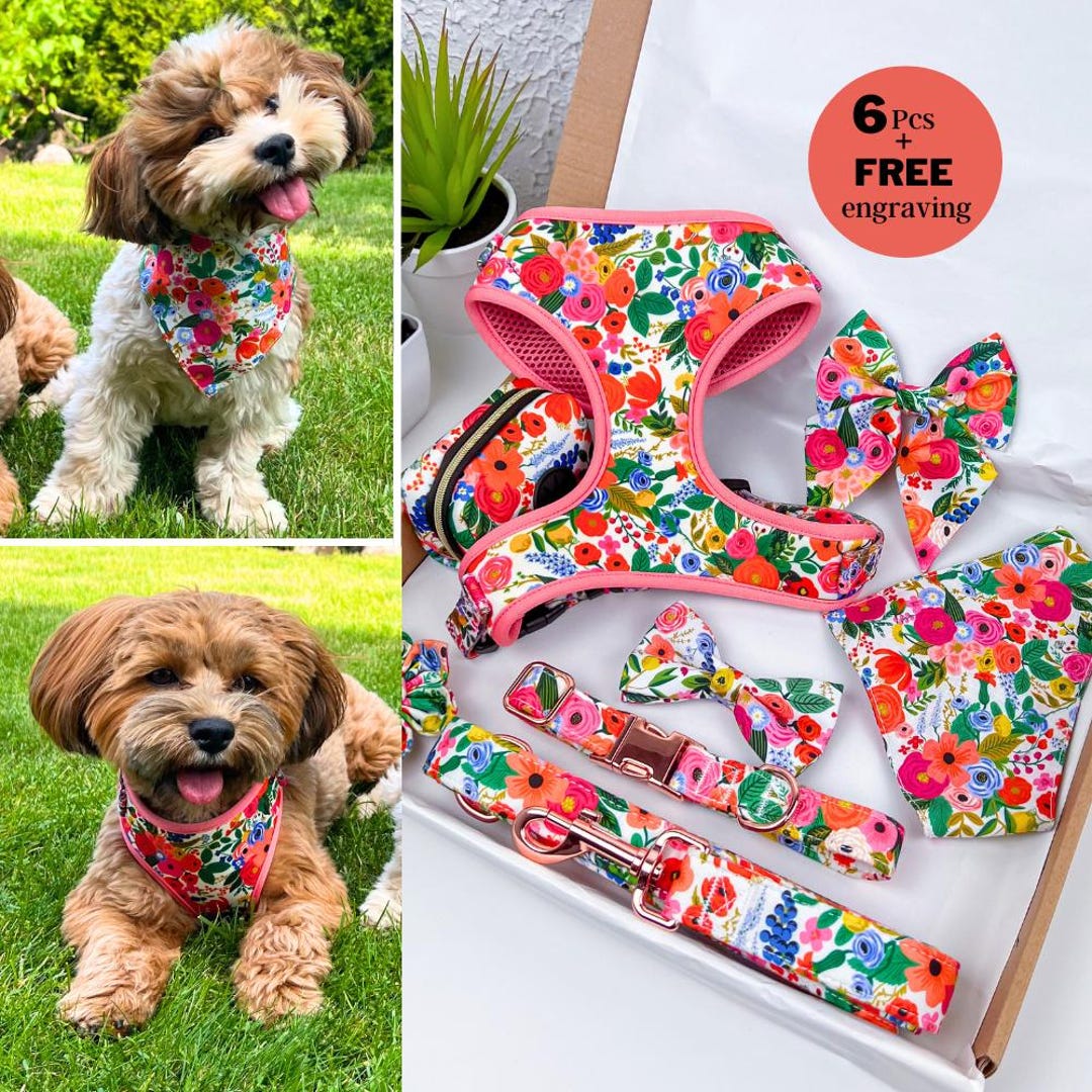 Dog Harness Set, Puppy Flower Harness, Personalized Dog Collar and ...