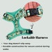 Dog Harness Dinosaur Set, Personalized Dog Bow Tie Collar and Leash ...