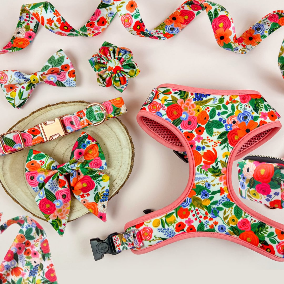 Dog Harness Set, Puppy Harness, Dog Collar and Leash, Cute Puppy ...