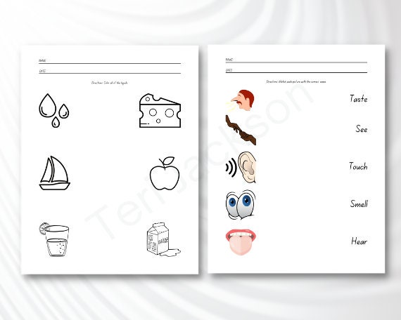 Preschool Worksheet Bundle | Printable | Kindergarten + Pre-k - Etsy