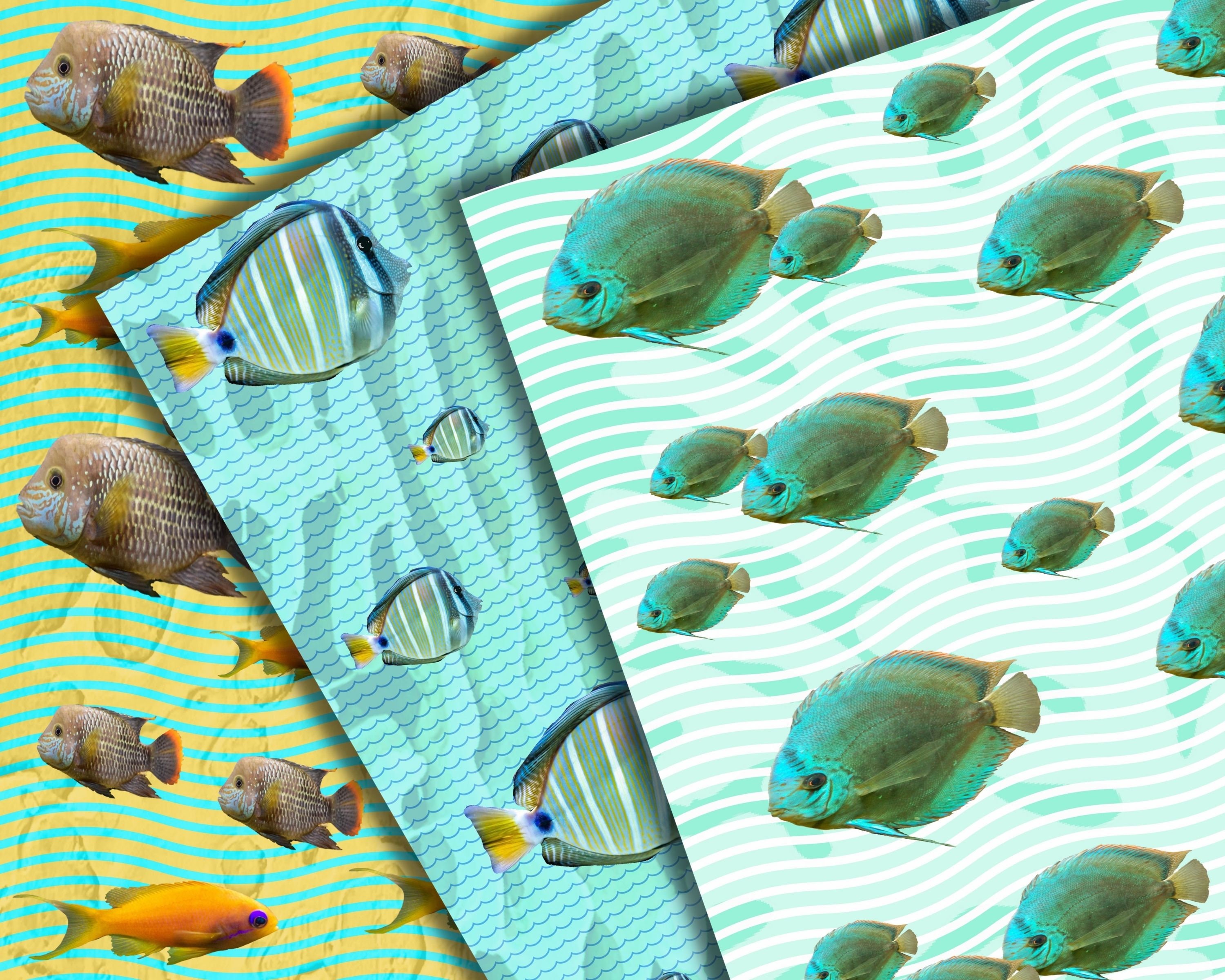 Fish Digital Paper,tropical Fish Backgrounds,fishy Scrapbooking Paper ...