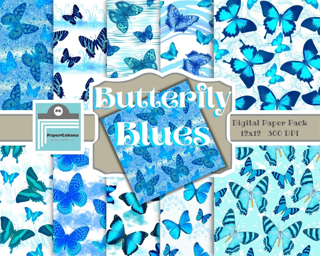 Blue Butterfly Digital Paper,aqua Butterfly Paper,turquoise Butterfly ...