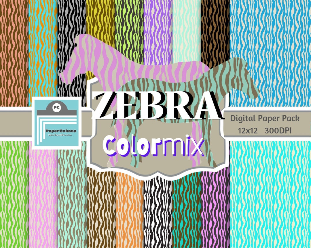 Colorful Zebra Digital Paper,zebra Print Background,zebra Print ...