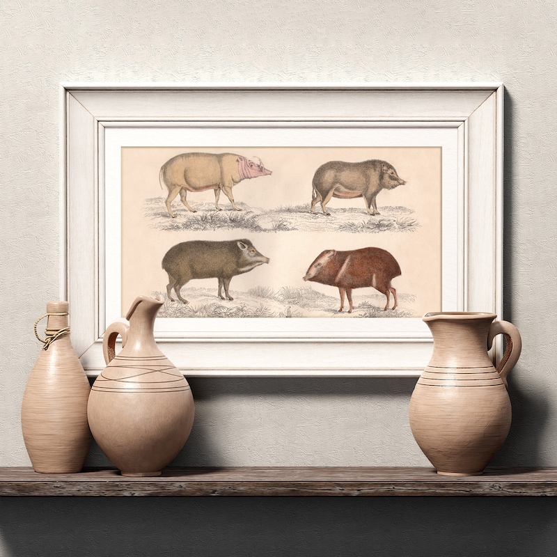 Vintage Pig - Etsy