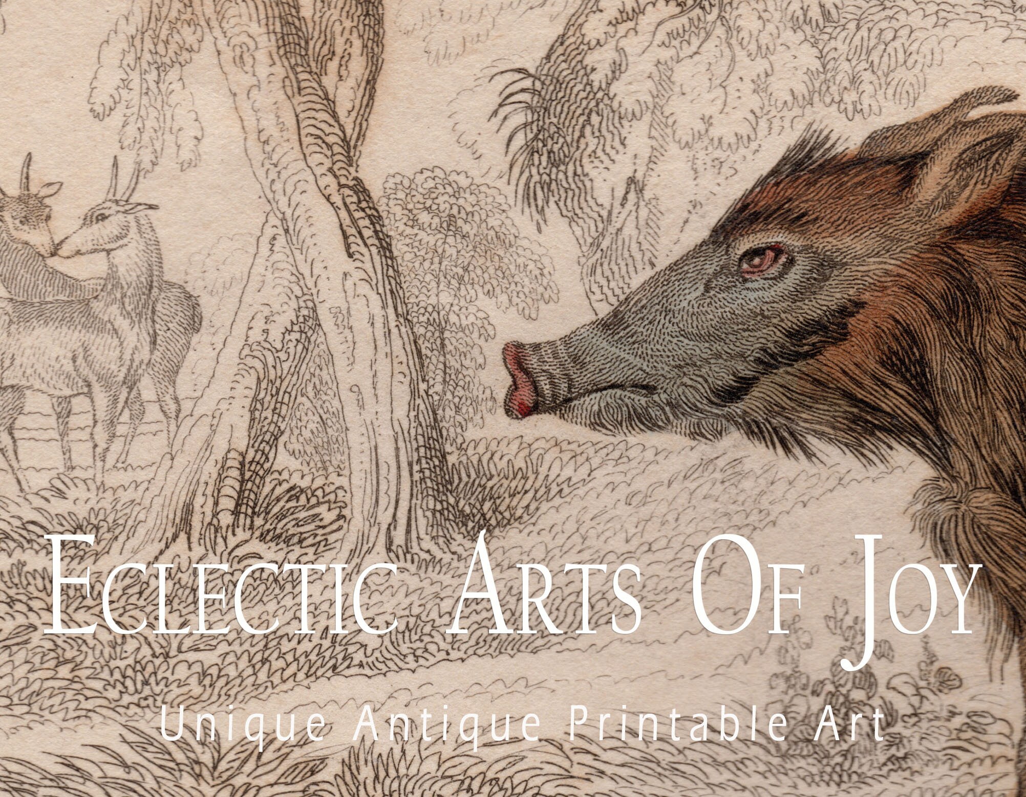 Wild Boar Art Print, Vintage Boar Wall Art, Country Farmhouse Wall ...