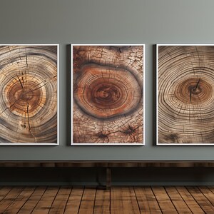 Tree Ring Wall Prints Tree Stump Photograph Wall Decor Nature Art ...
