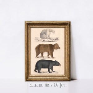 Vintage Bear Art Print, Brown Bear Poster, Polar Bear Wall Print ...