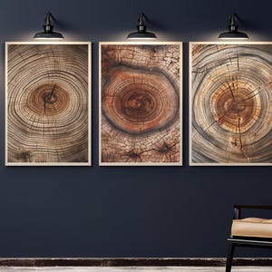 Tree Ring Wall Prints Tree Stump Photograph Wall Decor Nature Art ...