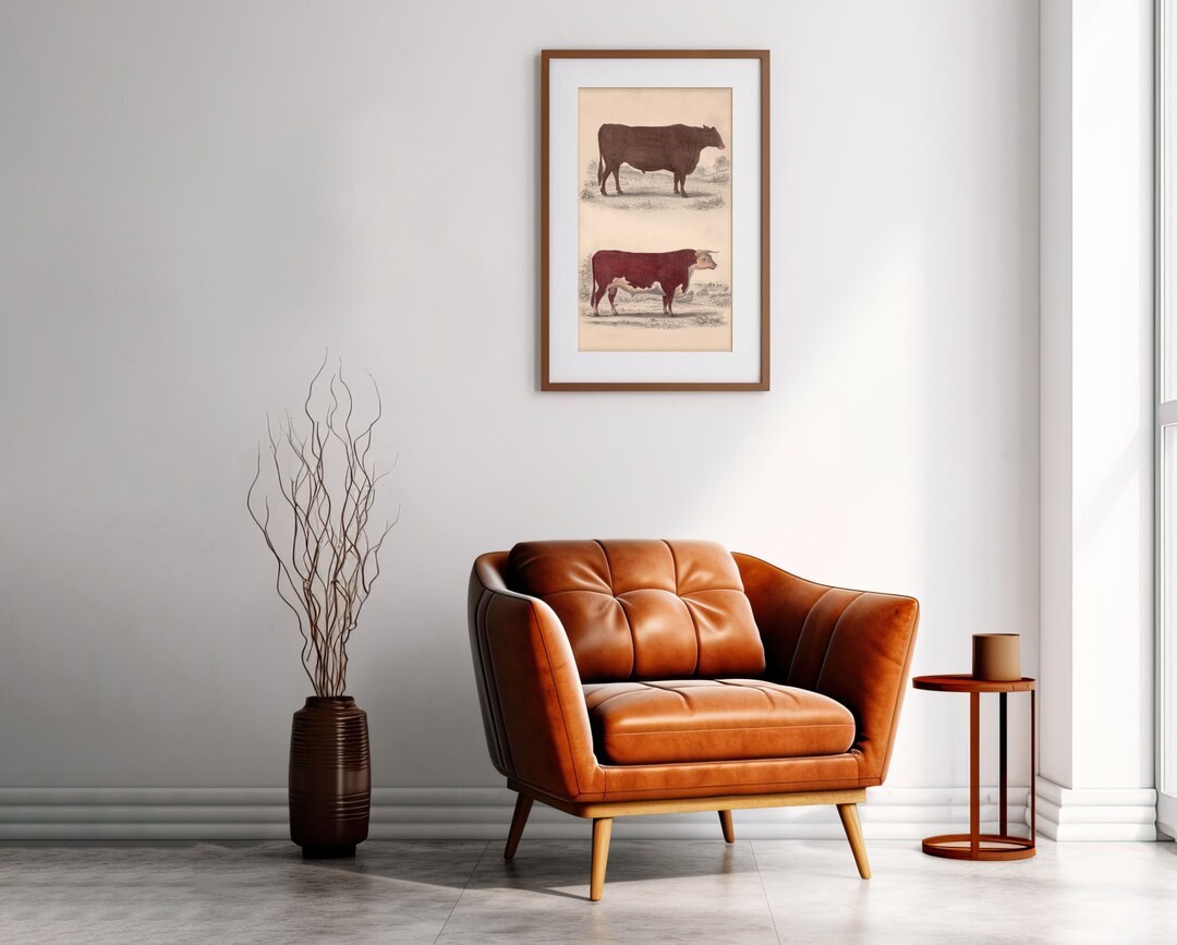 Vintage Suffolk Ox & Hereford Bull Print, Farmhouse Cattle Poster - Etsy