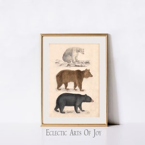 Vintage Bear Art Print, Brown Bear Poster, Polar Bear Wall Print ...