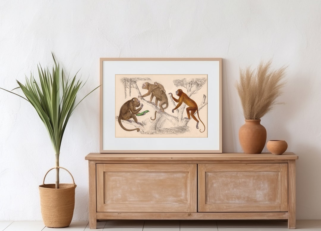 Monkey Art Print, Vintage Howler Monkey, Zoological Wall Decor ...