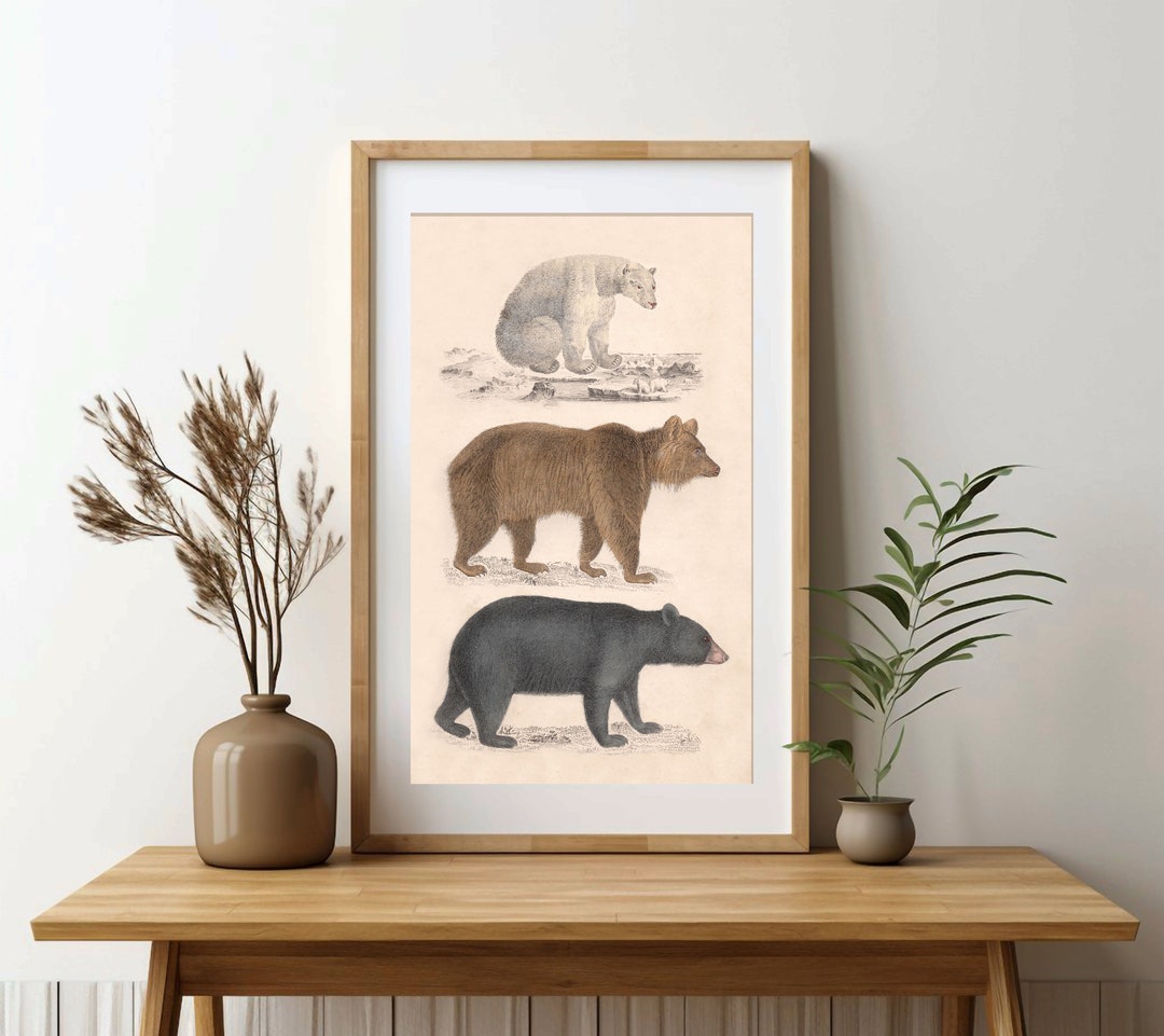 Vintage Bear Art Print, Brown Bear Poster, Polar Bear Wall Print ...