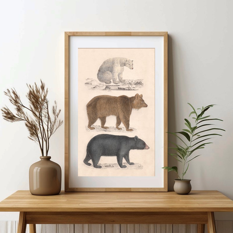 Bear Print - Etsy