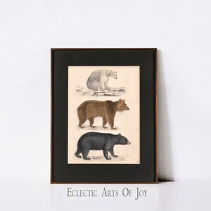 Vintage Bear Art Print, Brown Bear Poster, Polar Bear Wall Print ...