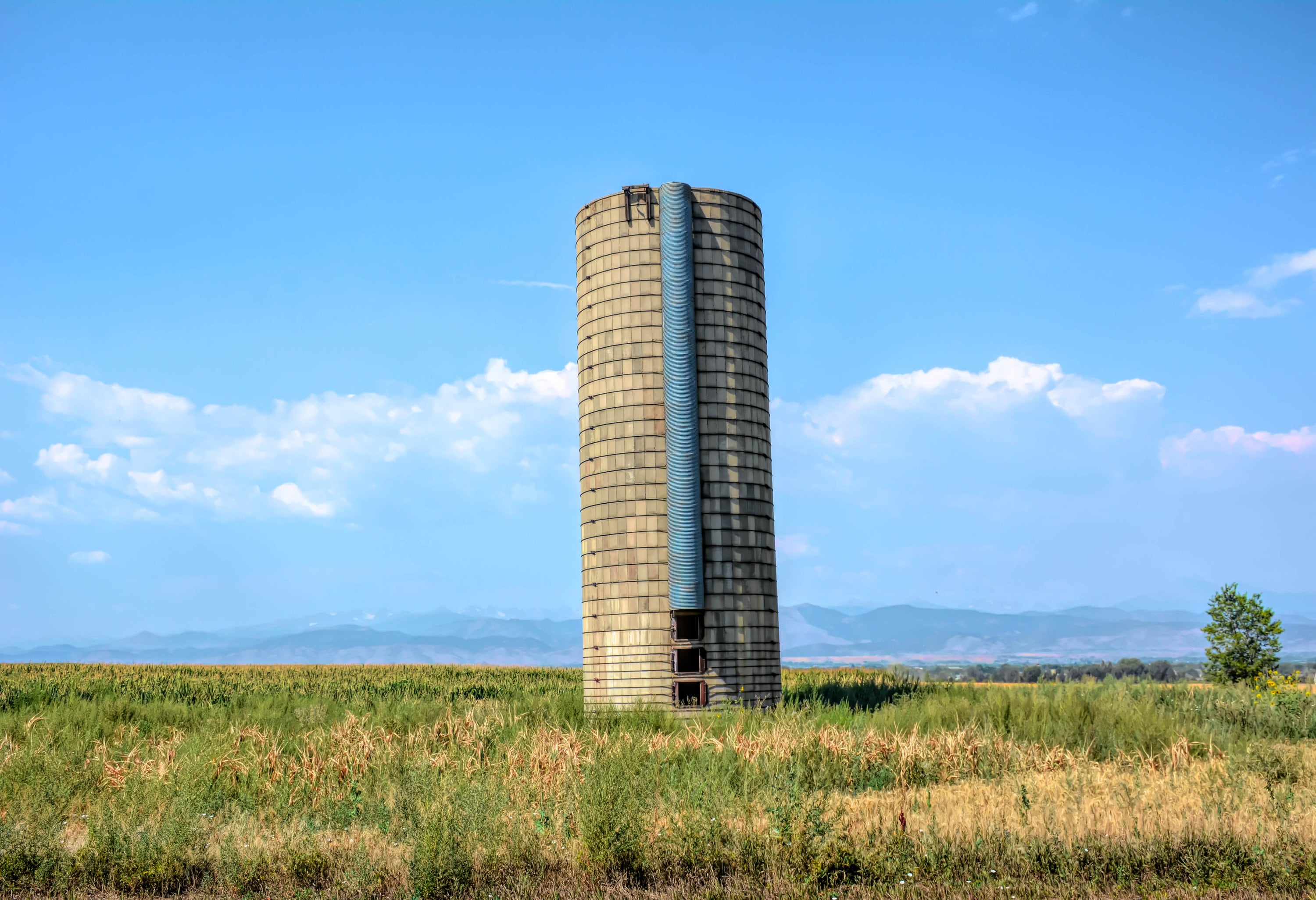 Old Farm Silo Print, Abandoned Grain Silo Print, Farm Silo With ...