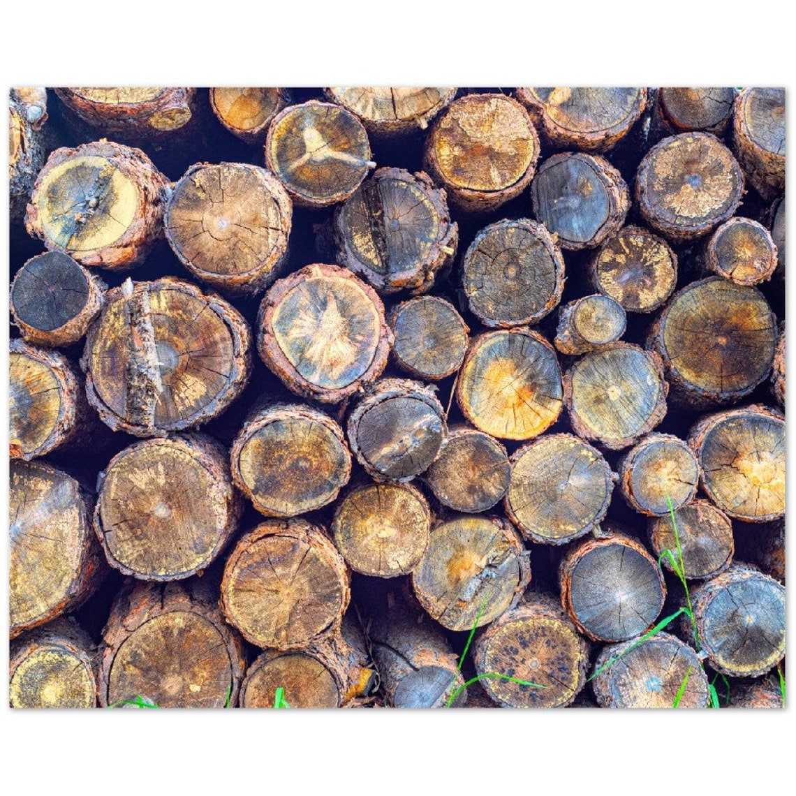 Cut Log Poster Print, Rustic Print of Stacked Logs, Log Wood Pile ...