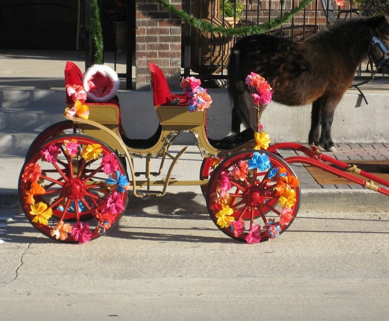 Miniature Horse Drawn Surrey Beige Vinyl Top W/red Fringe/2-seater 5/8 ...