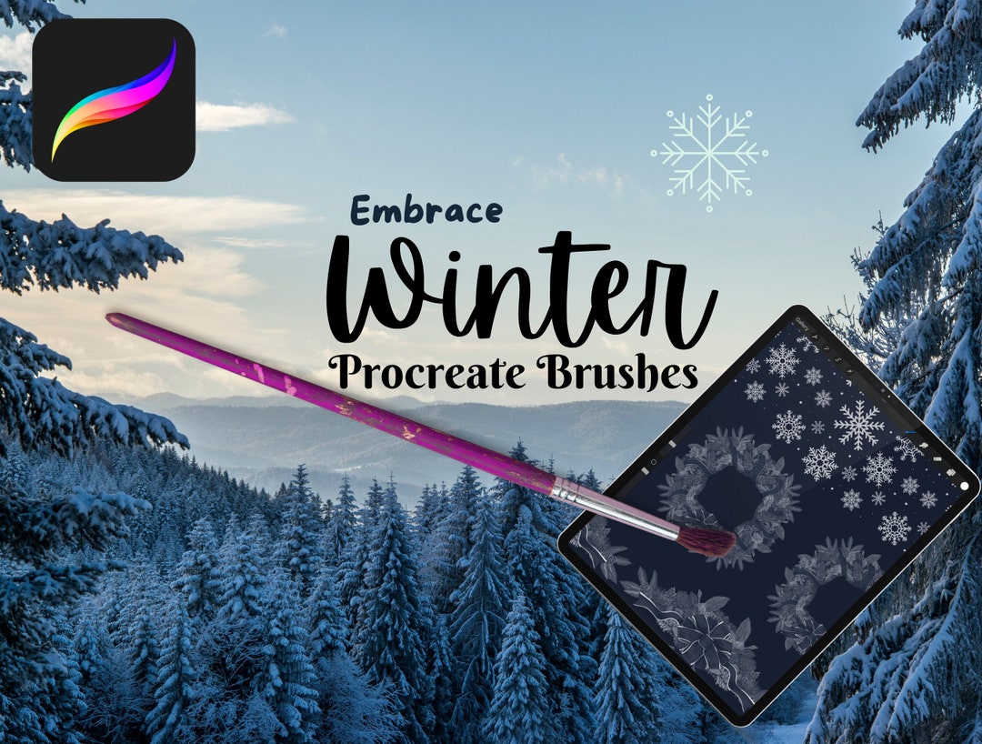Winter Procreate Brushes Procreate Brush Set Holiday Art Digital Brush Set Snow Flake Art Frosty ...