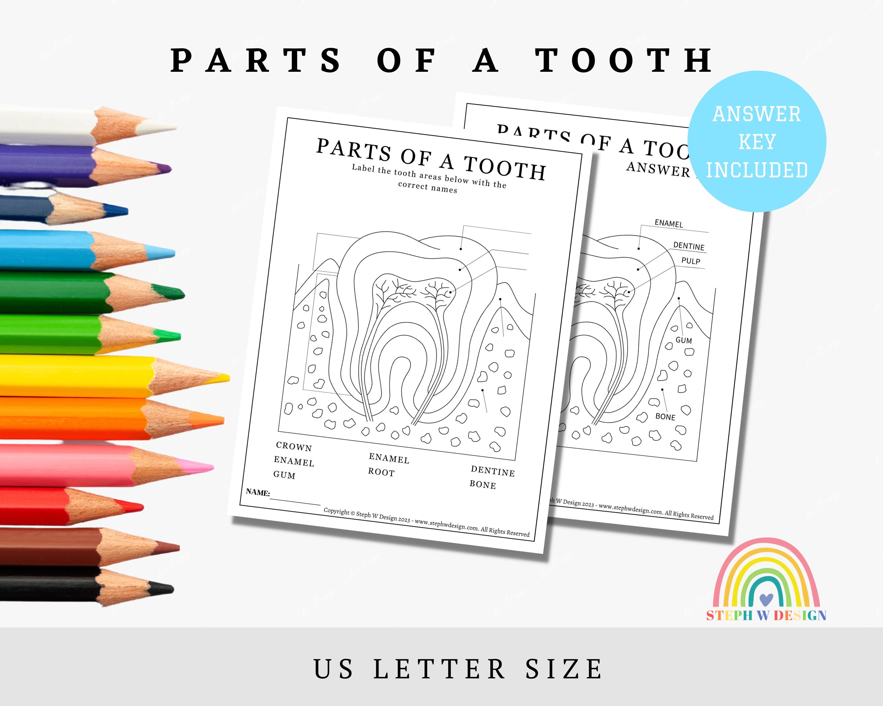 Parts of A Tooth Worksheet, Tooth Fairy Worksheet, Dental Coloring ...